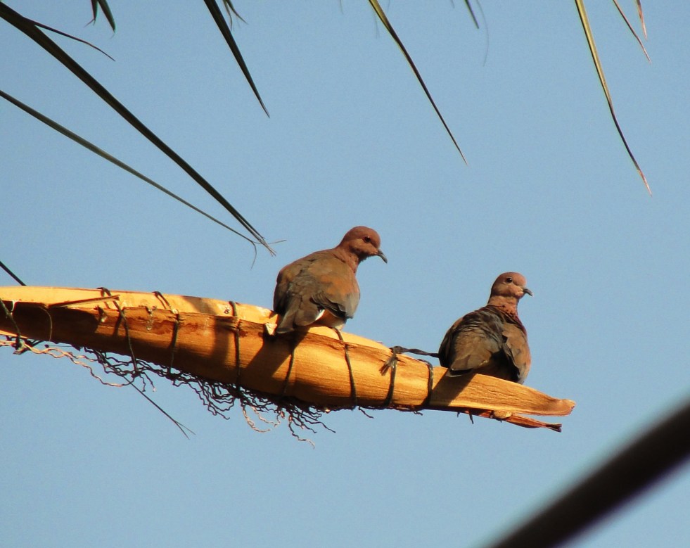 Walls of Jericho | Braman's Wanderings