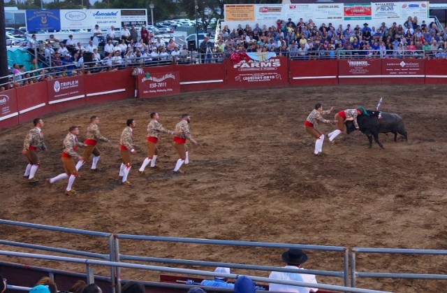 Remembering a Bullfight | Braman's Wanderings