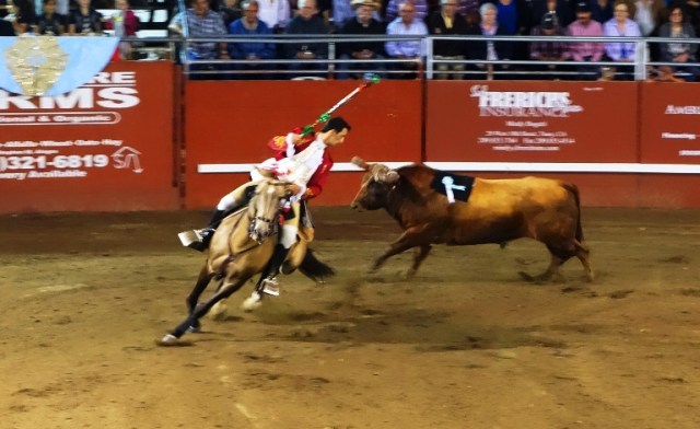 Remembering a Bullfight | Braman's Wanderings