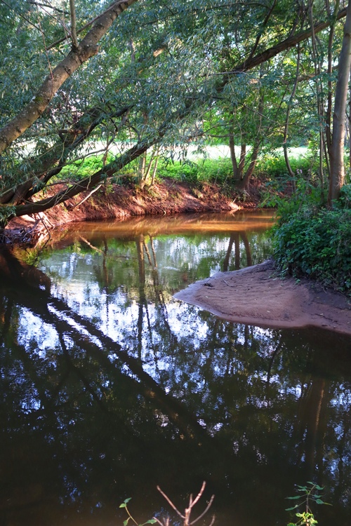 A Walk along the Roda River | Braman's Wanderings